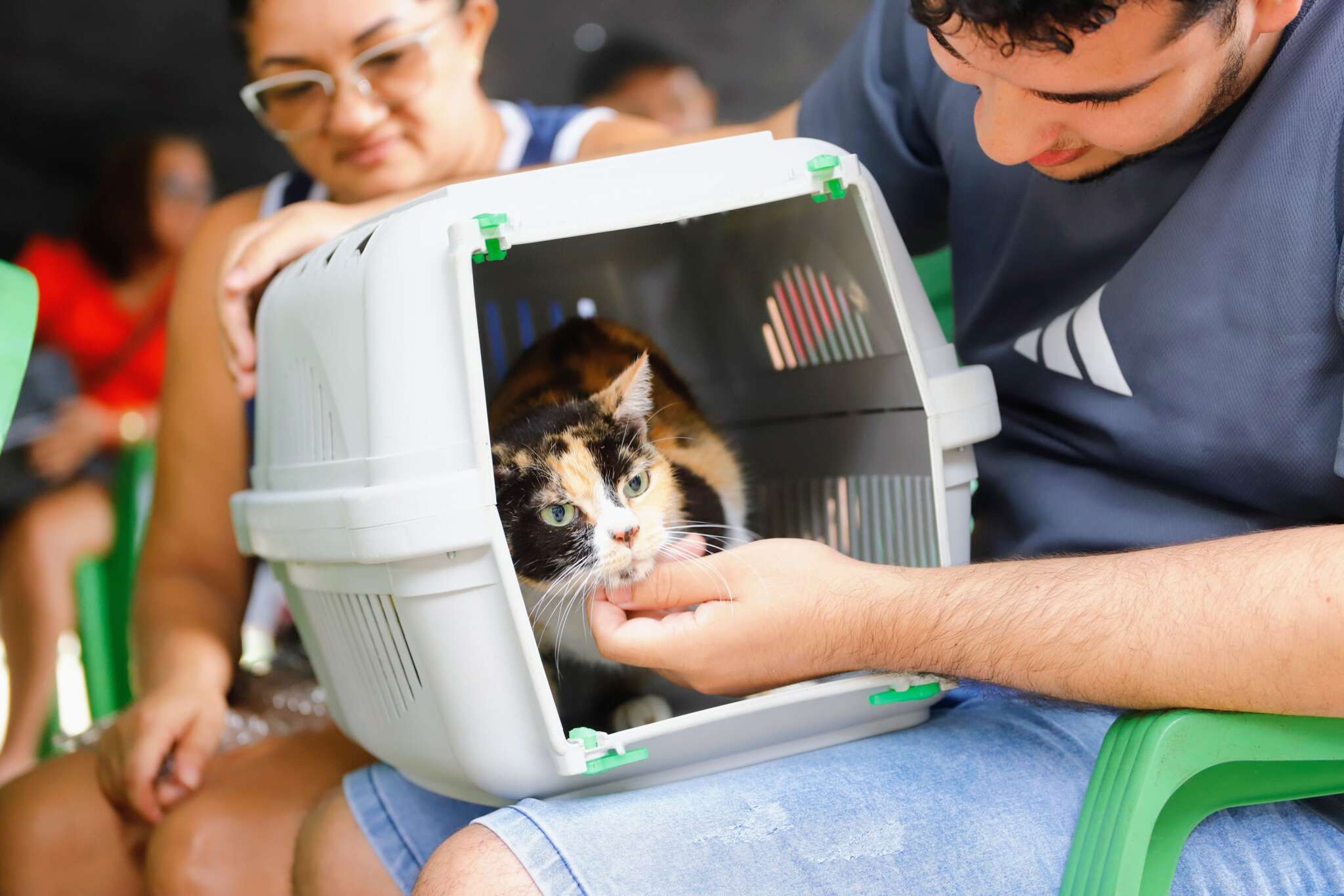 Notícias - Secretaria de Proteção Animal